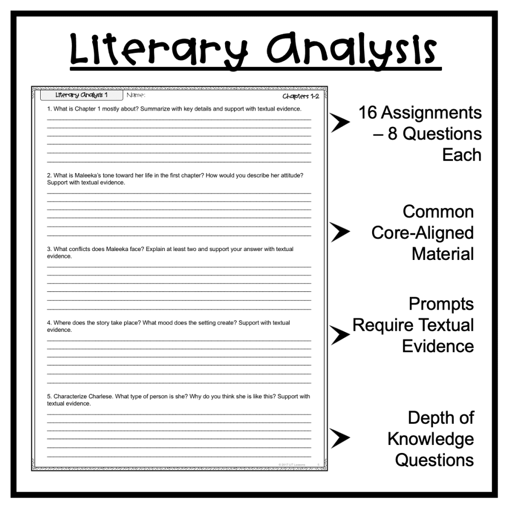 The Skin I'm In Novel Study | LIT Lessons